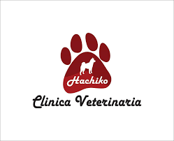 VET. HACHIKO 🐶
